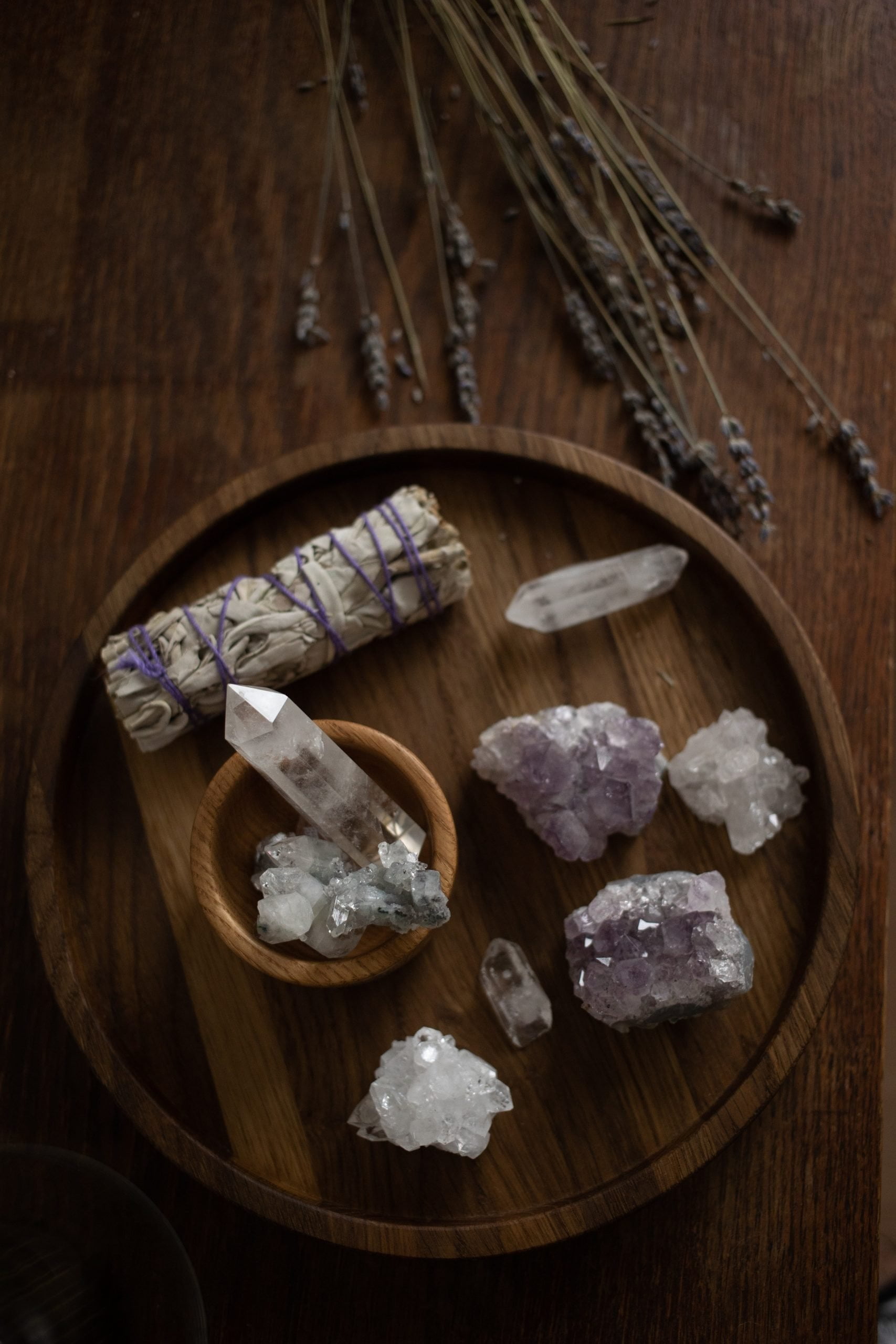 Magical Herbs: Lavender - LAVENDER GOLD